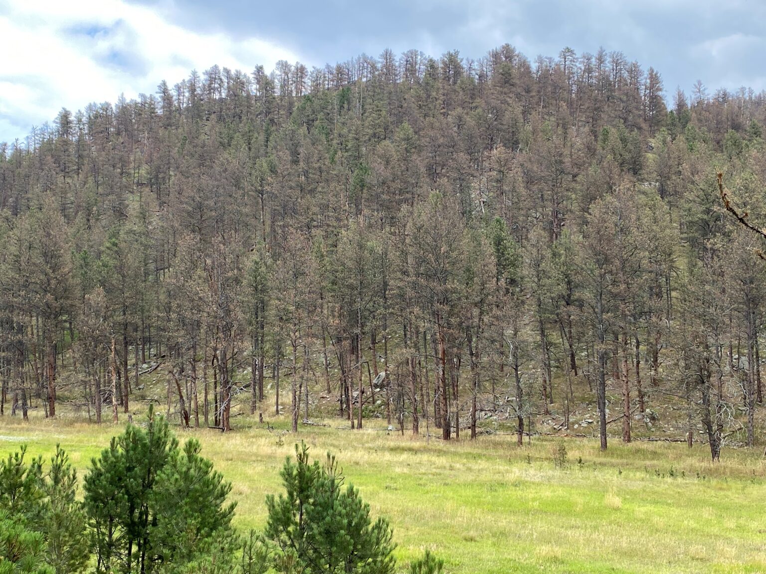 Conservation District - Custer County, South Dakota